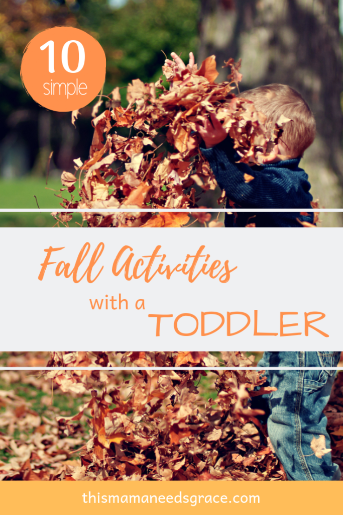 10 Simple, Fun Fall Activities with a Toddler – This Mama Needs Grace